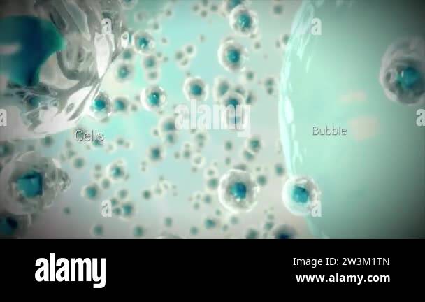 Cell division or cloning cells. Stem cells dividing under the ...