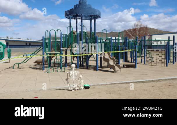 Child skeleton anatomy Stock Videos & Footage - HD and 4K Video Clips ...