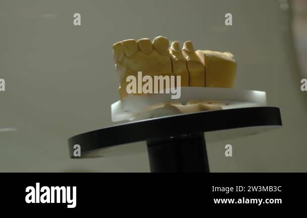 3D dental scanner for dental gypsum model scanning and measuring ...