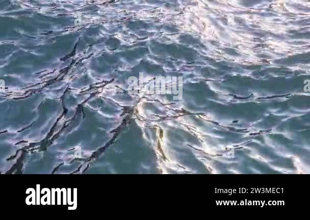 A closed repeating cycle of movement of water waves. 4K video 3D render ...