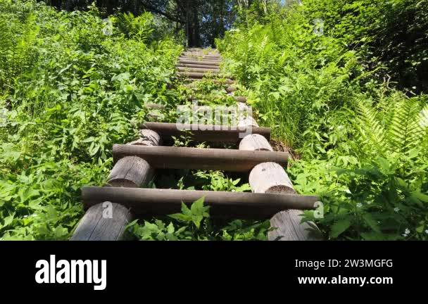 Park wood hill Stock Videos & Footage - HD and 4K Video Clips - Alamy