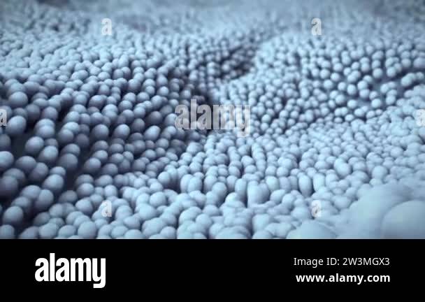 3D animation close-up Intestinal villi. Intestine lining. Microscopic ...