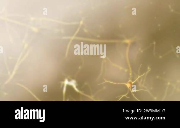 Central Organ of Human Nervous System Brain Anatomy Animation Concept ...