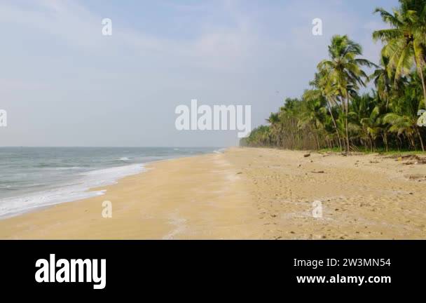 Coconut palms of kerala Stock Videos & Footage - HD and 4K Video Clips ...
