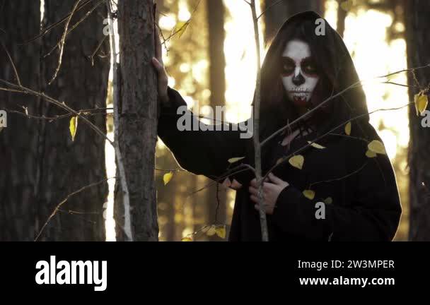 Theme of transformation in nature Stock Videos & Footage - HD and 4K ...