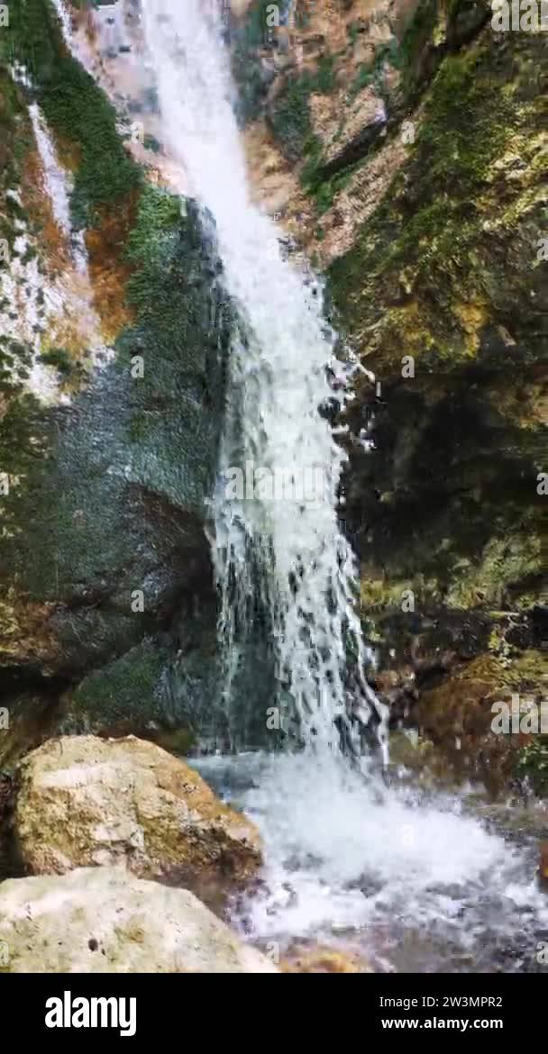 Mountain river flowing in rainforest. Endless meditative video, stream ...