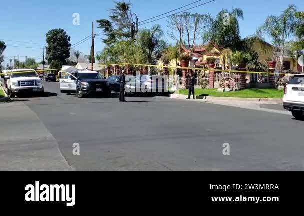 Lapd swat team Stock Videos & Footage - HD and 4K Video Clips - Alamy