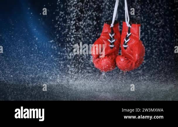 Boxing photography Stock Videos & Footage - HD and 4K Video Clips - Alamy