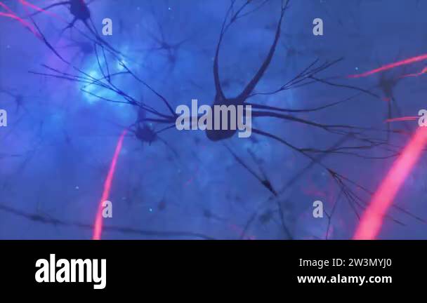 Animation of the activity of neurons and synapses. Neural connections ...