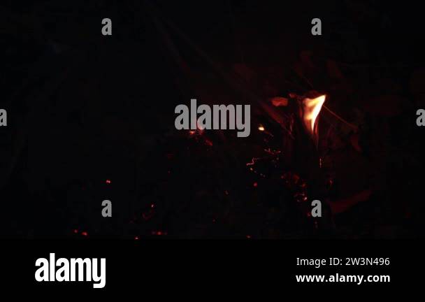 Coconut Leaf Fire flames on a black background. Blaze fire flame ...