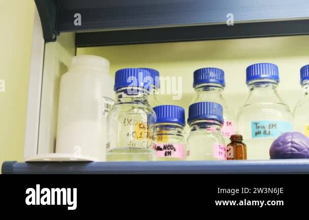 overview of laboratory shelf with empty jars and human brain model ...