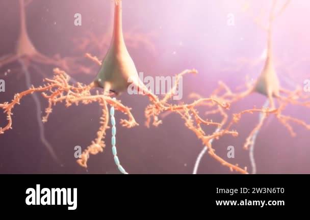 Neuron system art Stock Videos & Footage - HD and 4K Video Clips - Alamy