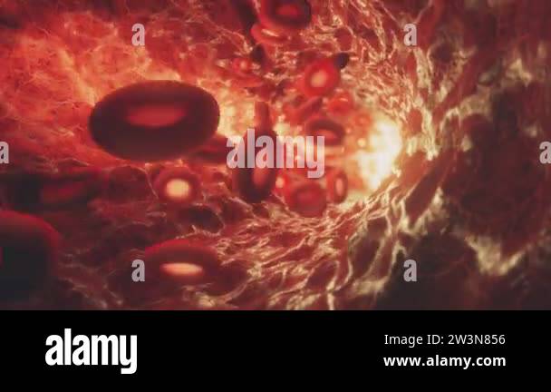 Red blood cells moving in the bloodstream in an artery. 3D seamless ...