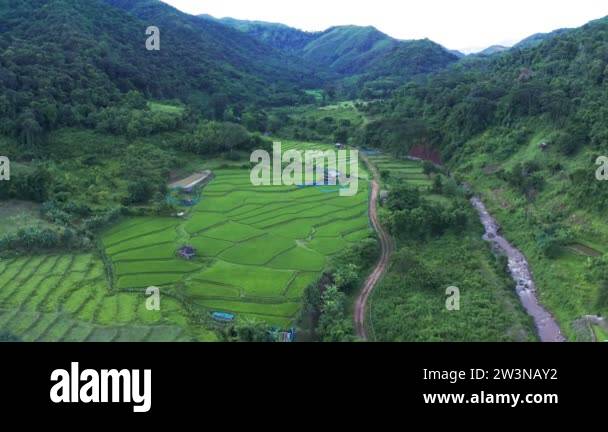 Beautiful nature with paddy landscape Stock Videos & Footage - HD and ...
