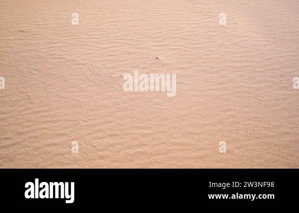 Beach sand texture Wavy sand on the beach with light of sunset or ...
