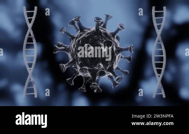 Pathogen structure Stock Videos & Footage - HD and 4K Video Clips - Alamy