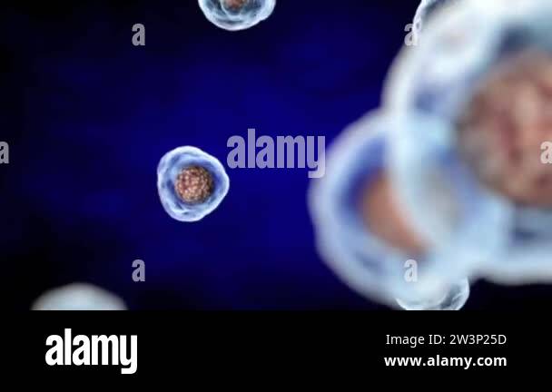 Cells that divide the blue hue. Replication of mitosis of a generic ...