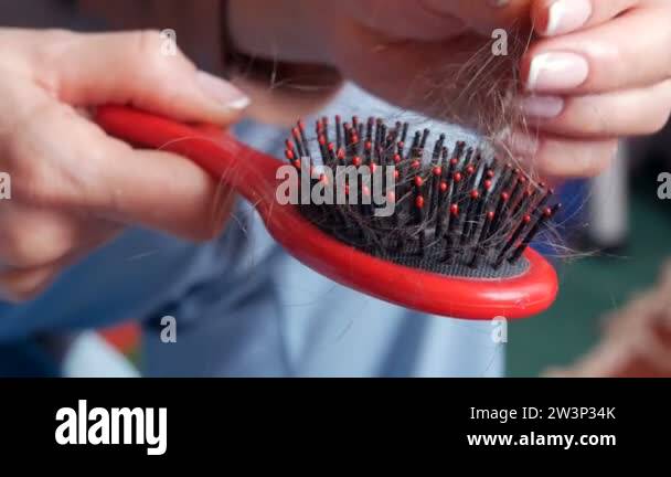 Female hands clean Drop down hair on a comb after combing. Lots of ... Female hands clean Drop down hair on a comb after combing. Lots of ...