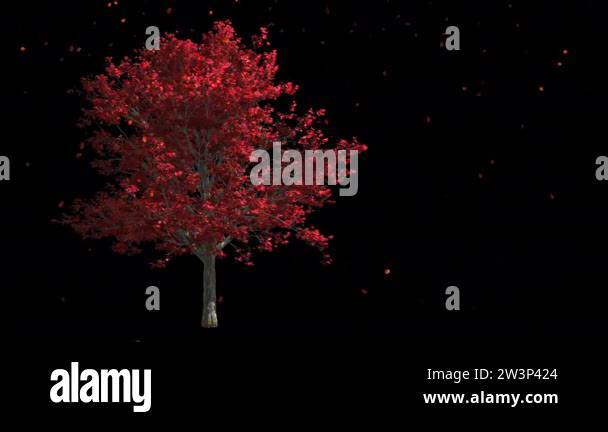 3d tree leaves Stock Videos & Footage - HD and 4K Video Clips - Alamy