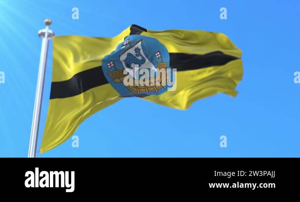 Flag of Wellington, capital city of New Zealand, Loop Stock Video ...