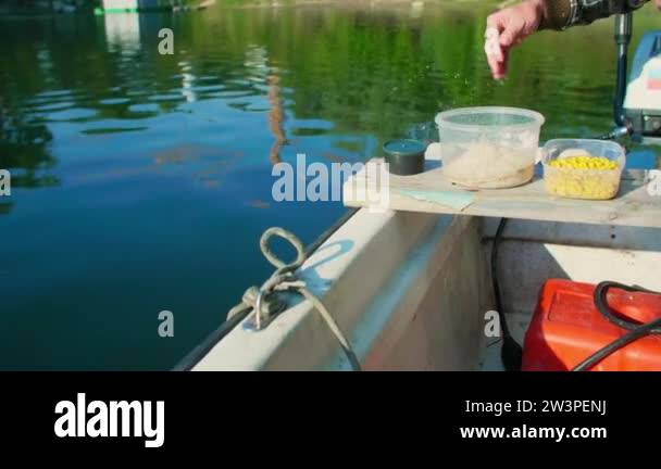 Feeding boat Stock Videos & Footage - HD and 4K Video Clips - Alamy