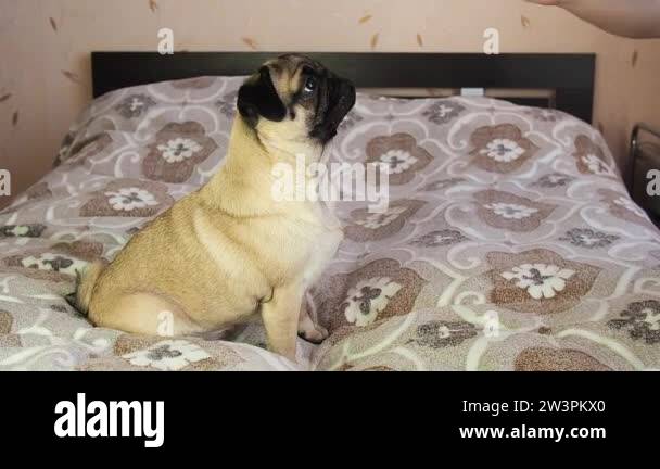 Man behavior Stock Videos & Footage - HD and 4K Video Clips - Alamy