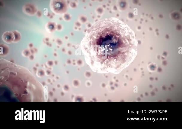 Endoplasmic reticulum micrograph Stock Videos & Footage - HD and 4K Video Clips - Alamy
