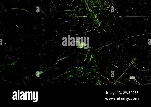 Vintage TV screen with colored green scratches and damage. There is ...