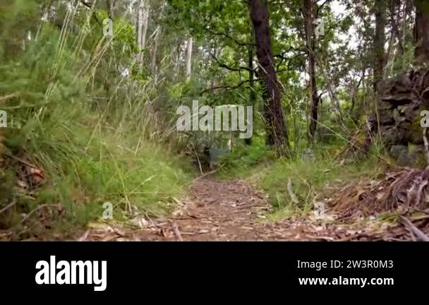 Ground level photograph Stock Videos & Footage - HD and 4K Video Clips ...