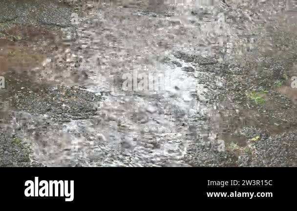 Raindrops in a puddle on the asphalt. Storm. Pouring rain. Fall rain ...