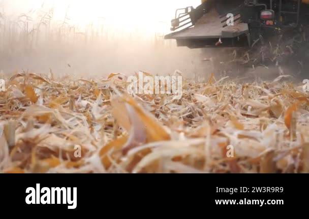 Farm waste food field Stock Videos & Footage - HD and 4K Video Clips ...