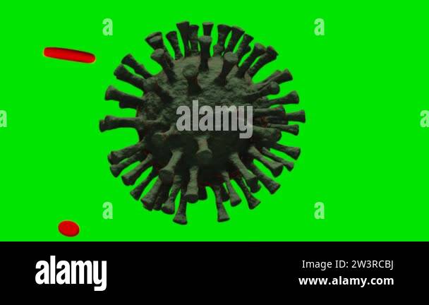 Coronavirus (COVID-19) medical animation. Realistic animation of virus ...