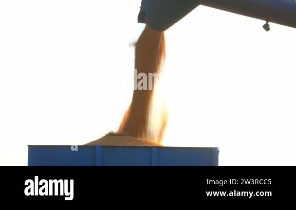 Grain loading Stock Videos & Footage - HD and 4K Video Clips - Alamy