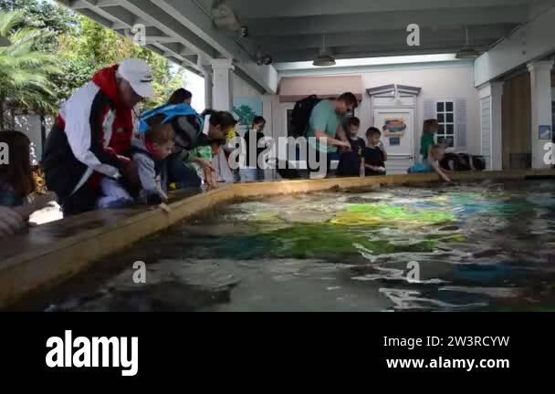 Orlando, USA. SeaWorld is the sea park including parks of mammals ...