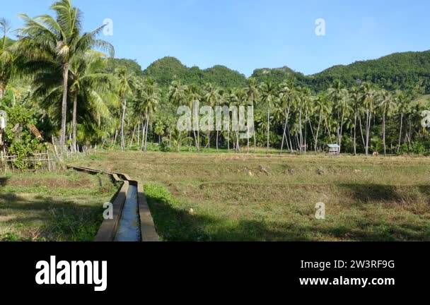 Water irrigation at farm land in Anda Bohol the Philippines Stock Video ...