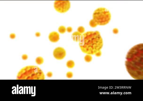 Human papillomavirus, a virus which causes warts, some strains infect ...