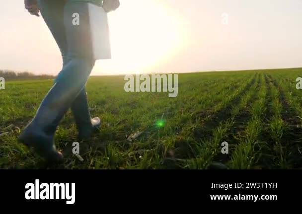 agriculture. smart farming technology. close-up of farmer walk feet in ...