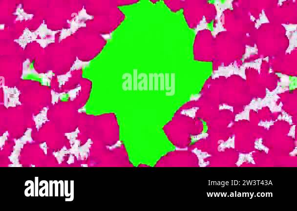The transition of pink hearts with wings to a green screen background ...