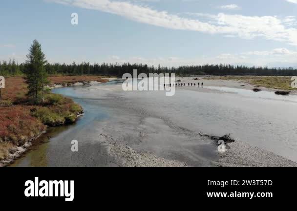An aerial view looking up river Stock Videos & Footage - HD and 4K ...