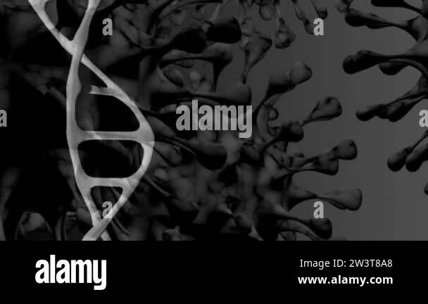 Molecule dna genetic Stock Videos & Footage - HD and 4K Video Clips - Alamy