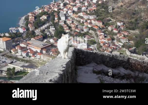 Parapet of fort Stock Videos & Footage - HD and 4K Video Clips - Alamy