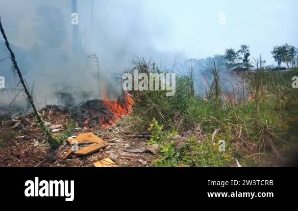 Bushfire near road in national park. Climate change crisis. Dry ...