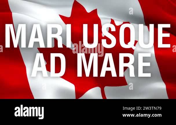 Mari Usque Ad Mare Canadian national motto on Canada flag. Canadian ...