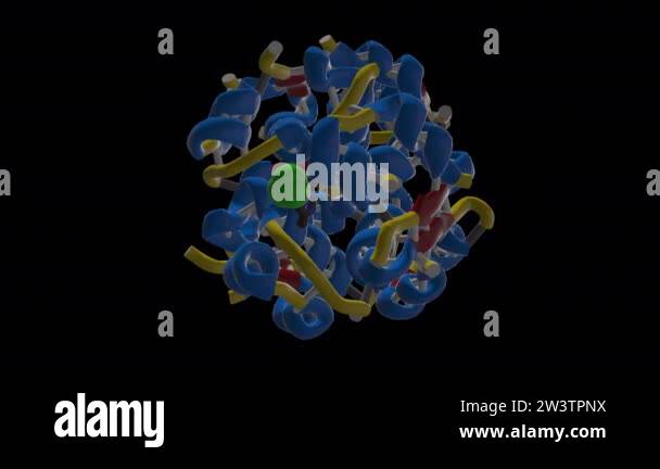 Molecular model of human insulin Stock Videos & Footage - HD and 4K ...