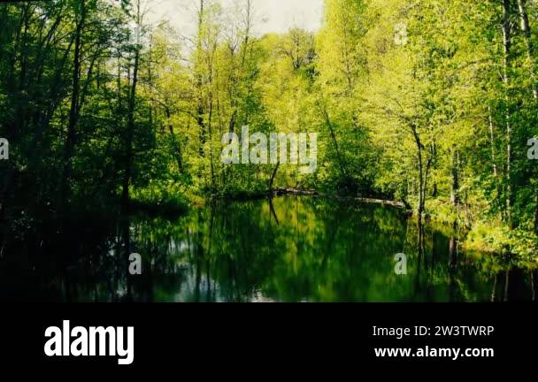 Secret spring Stock Videos & Footage - HD and 4K Video Clips - Alamy