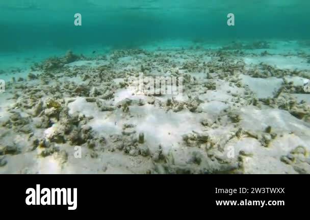 Bleak ocean Stock Videos & Footage - HD and 4K Video Clips - Alamy