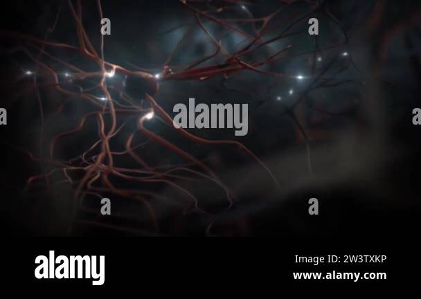 Neuronal and Synapse Activity animation. Neurons in the head ...