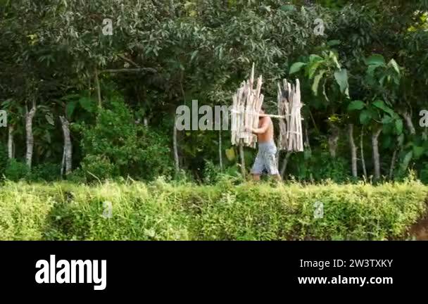 Man carrying wood Stock Video Footage - Alamy