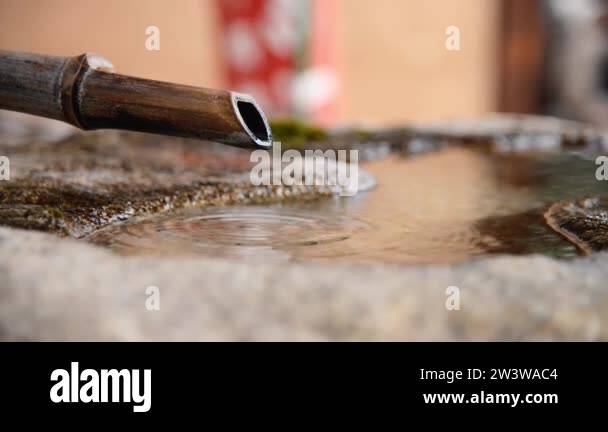 Bamboo water drop Stock Videos & Footage - HD and 4K Video Clips - Alamy
