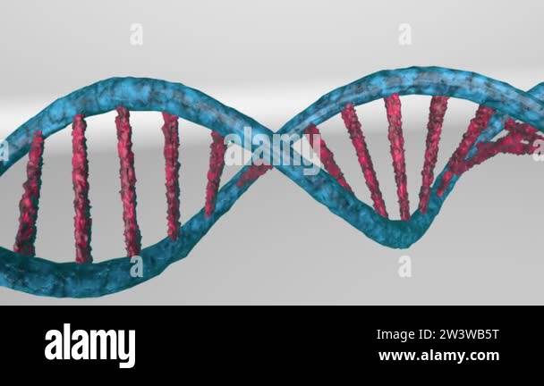 Chromosome engineering Stock Videos & Footage - HD and 4K Video Clips ...